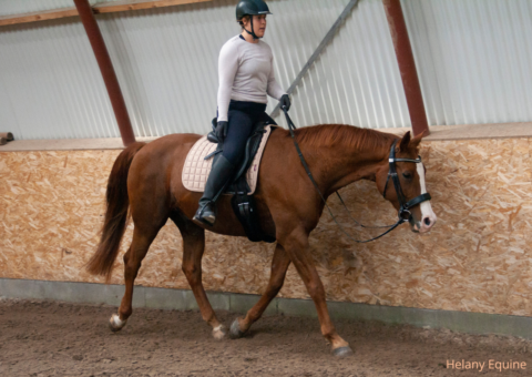 Når træningen går skævt - Helany Equine